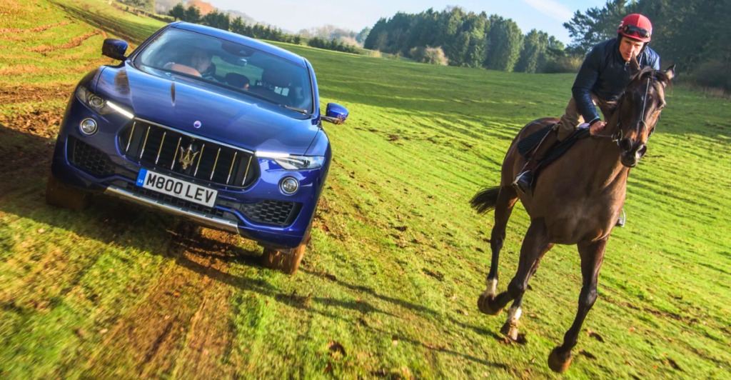 The 9 Fastest Horses of All Time, Ranked by Pure Speed | animalplanethq.com