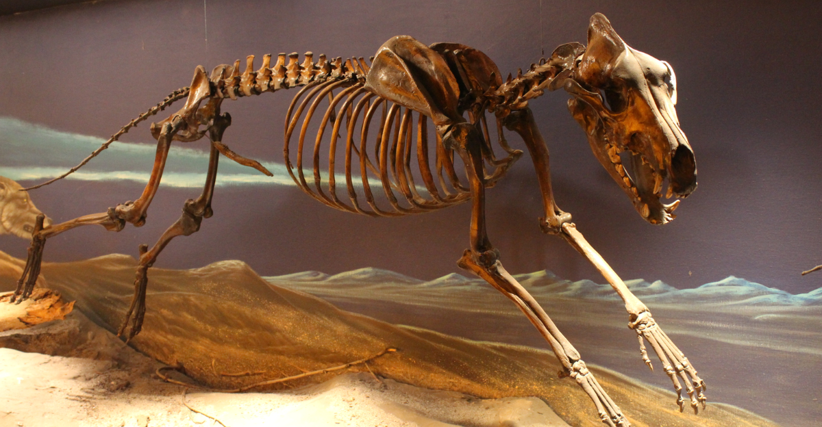 Scientists Reveal Giant Prehistoric Predator That Once Ruled North ...