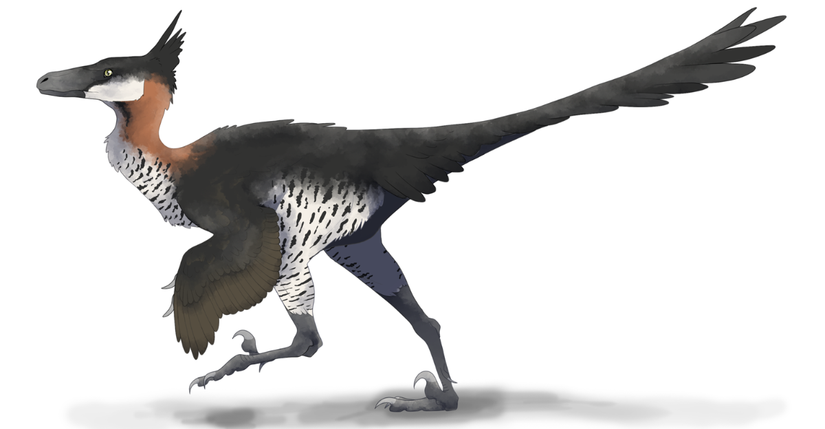 The 9 Fastest Dinosaurs That Ever Existed | animalplanethq.com