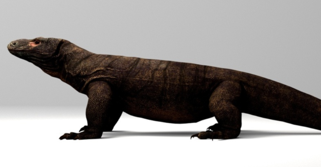 18 Extinct Predators That Hunted Humans | animalplanethq.com
