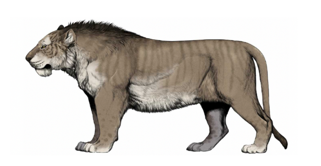 18 Extinct Predators That Hunted Humans | animalplanethq.com