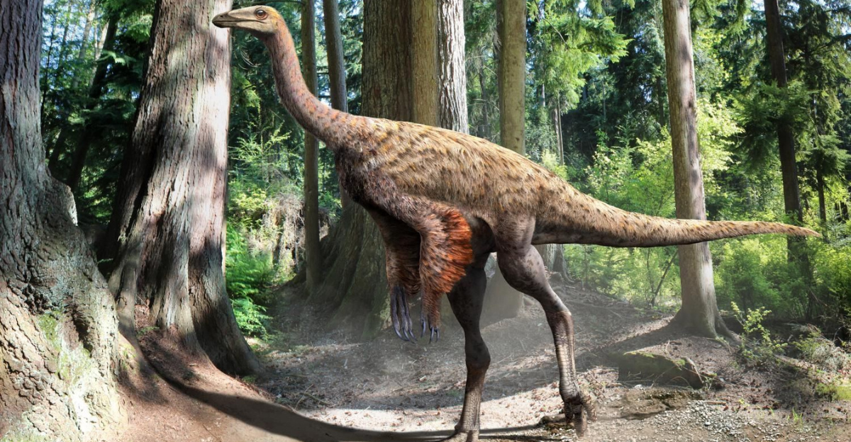 The 9 Fastest Dinosaurs That Ever Existed | animalplanethq.com