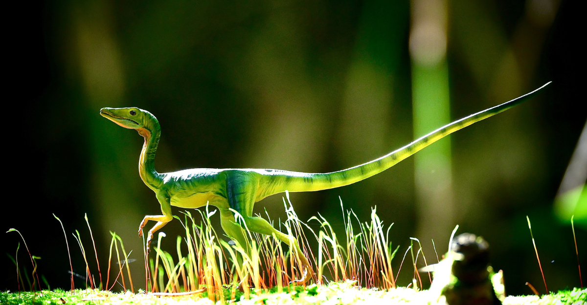 The 9 Fastest Dinosaurs That Ever Existed | animalplanethq.com